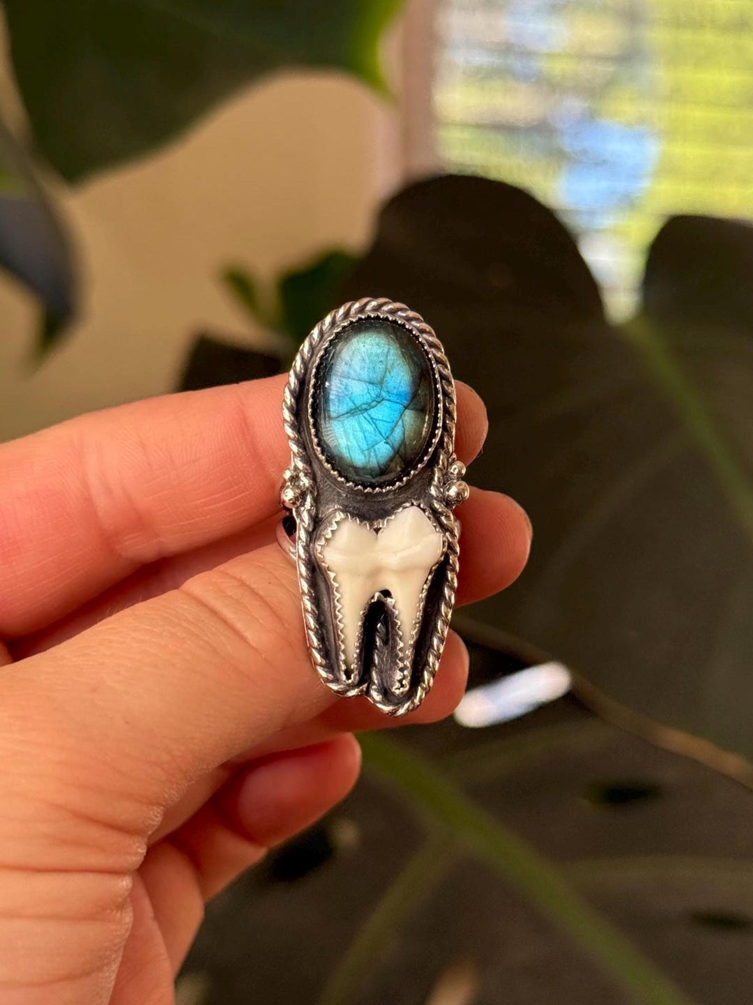 Coyote Tooth & Labradorite Handmade Ring - Etsy