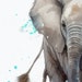 Cute Baby Elephant Watercolor Art, Digital Download, Forest Animal - Etsy