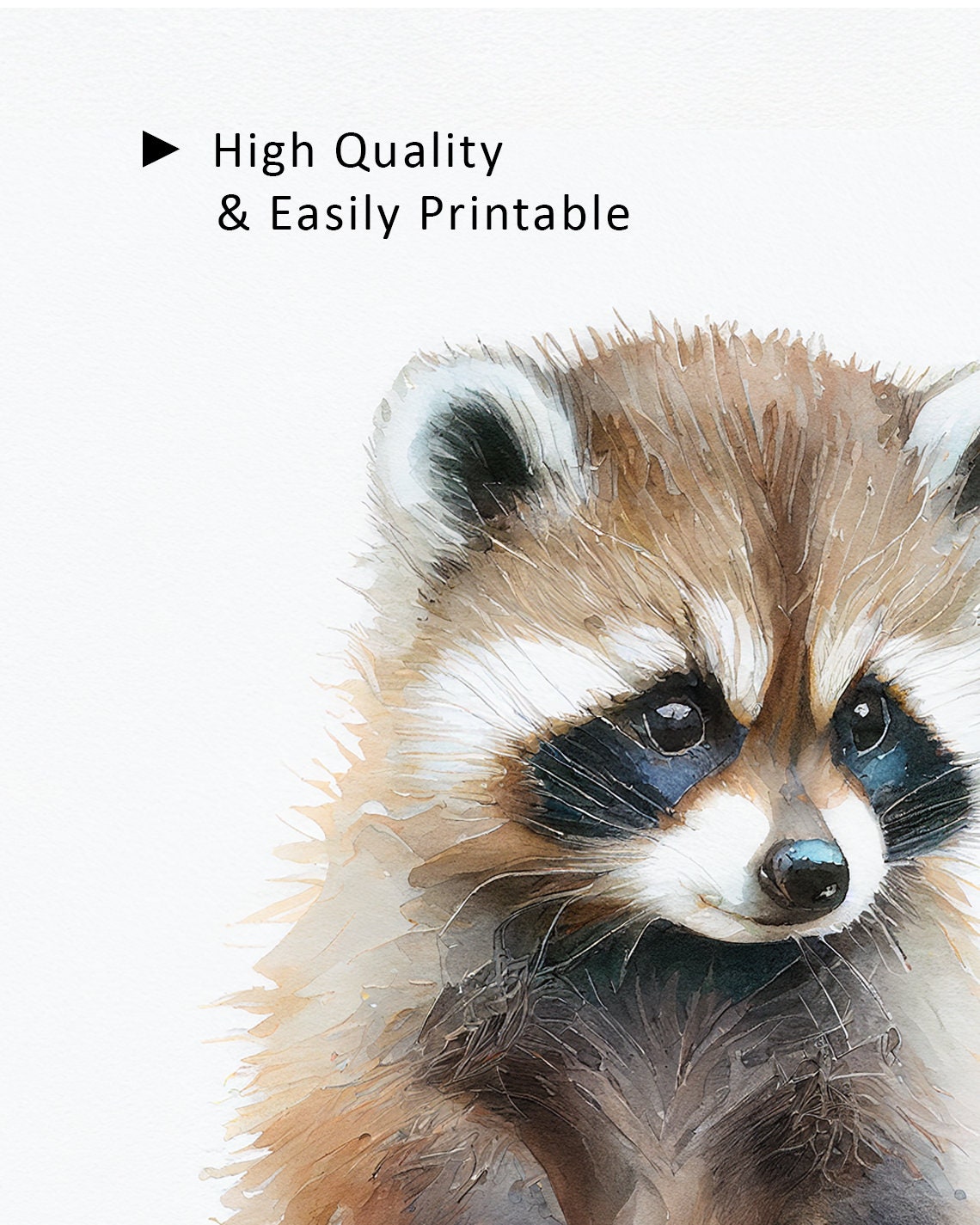 Cute Baby Raccoon Watercolor Art, Digital Download, Forest Animal, Baby ...