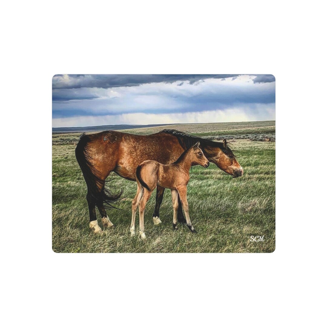 Mare and Foal Landscape 10x8 Metal Art Sign - Etsy