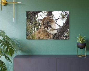 Medieval Lion Wall Decal Wall Fabric Vinyl Decal - Etsy