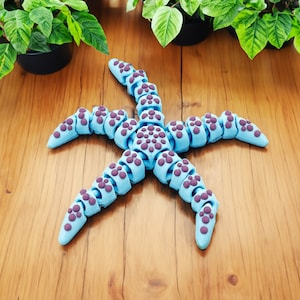 Articulated 3D Printed Starfish Fidget Toy in Various Colors for Desk ...