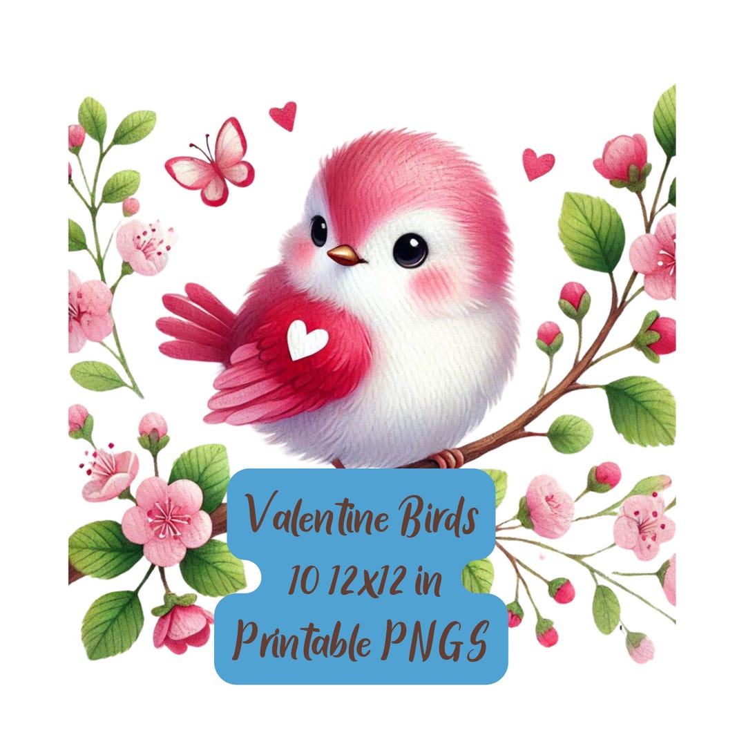 Charming Valentine Bird Clipart Set - 10 Printable 12x12 Designs for ...