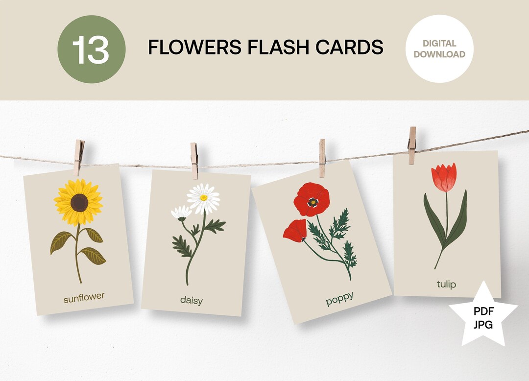 Flower Flash Cards - Hand-illustrated, Montessori Digital Download ...