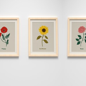 Hand-illustrated Poppy Print: Botanical Flower Illustration - Etsy