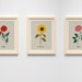 Hand-illustrated Poppy Print: Botanical Flower Illustration - Etsy