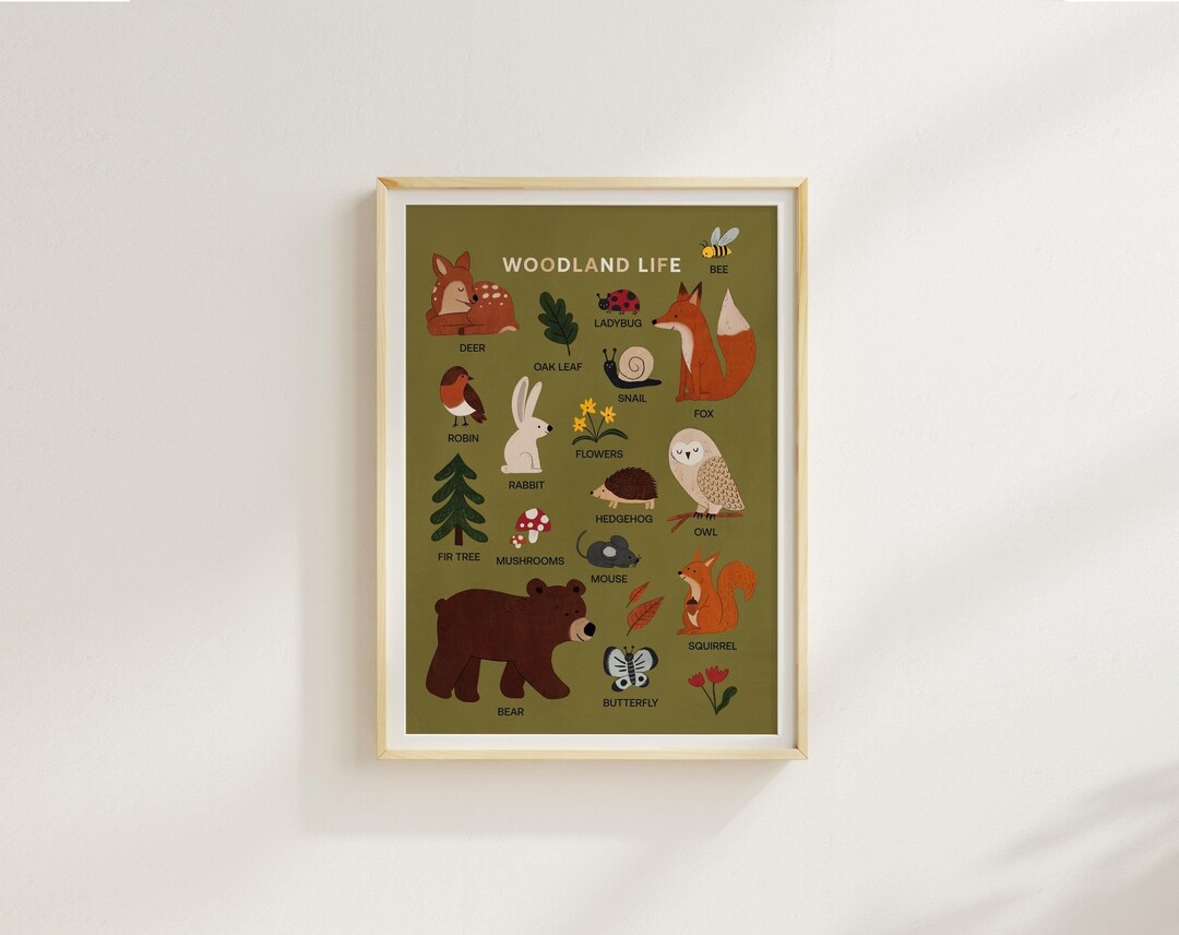 Woodland Animals Poster: Educational Forest Print, Kids Room Decor - Etsy