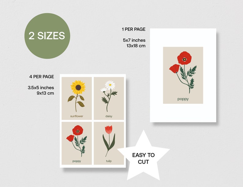 Flower Flash Cards Hand-illustrated, Montessori Digital Download ...