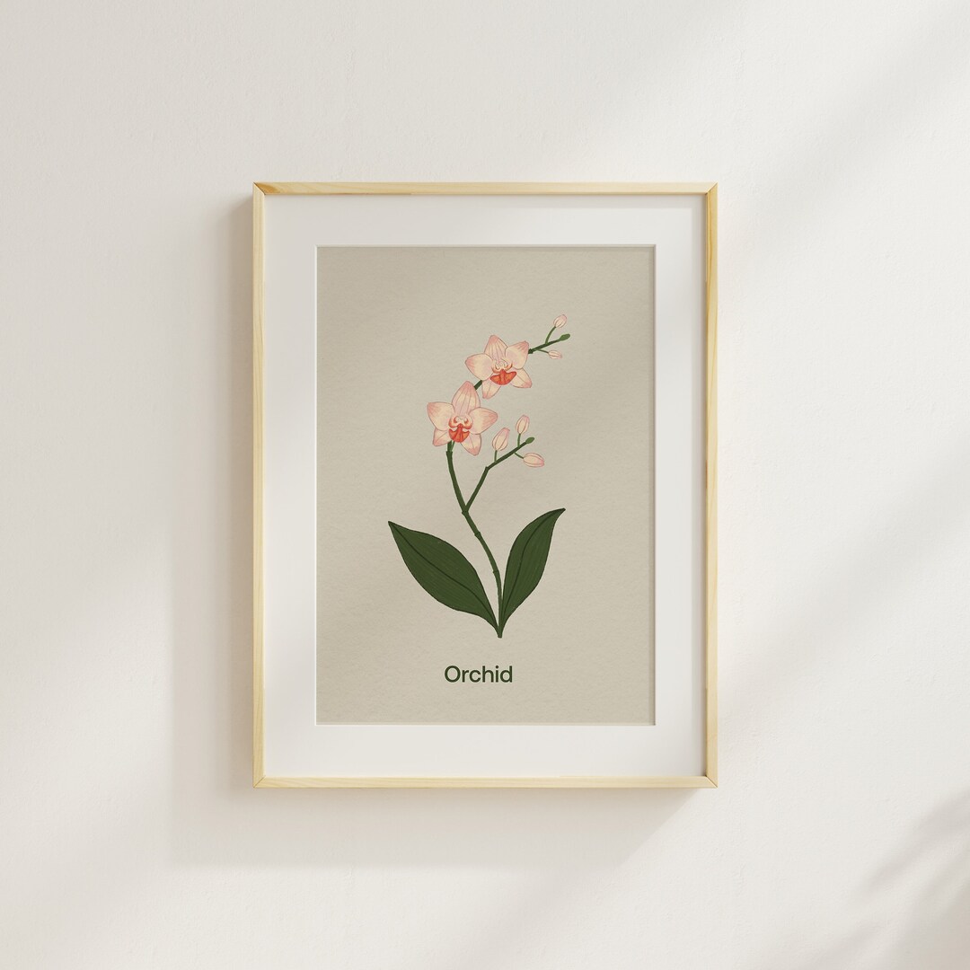 Orchid Print - Hand-illustrated Flower Print, Botanical Illustration ...