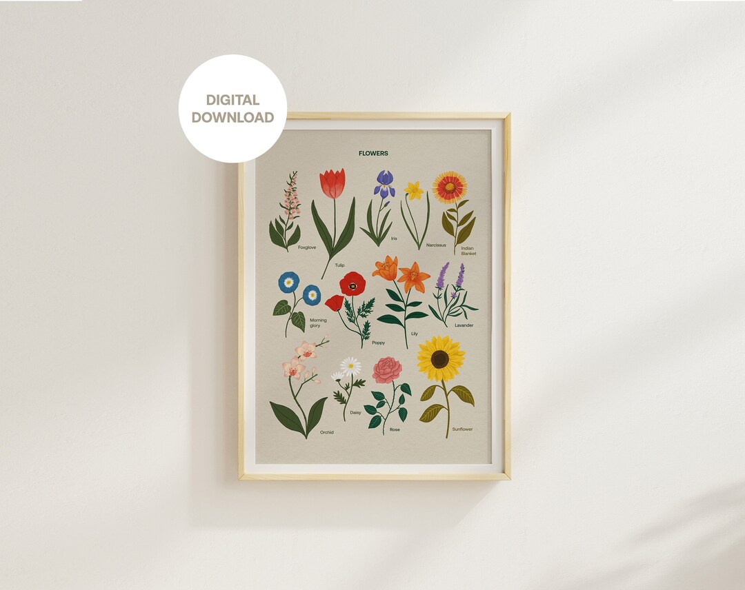 Educational Flowers Poster - Hand-illustrated Flower Print, Botanical ...