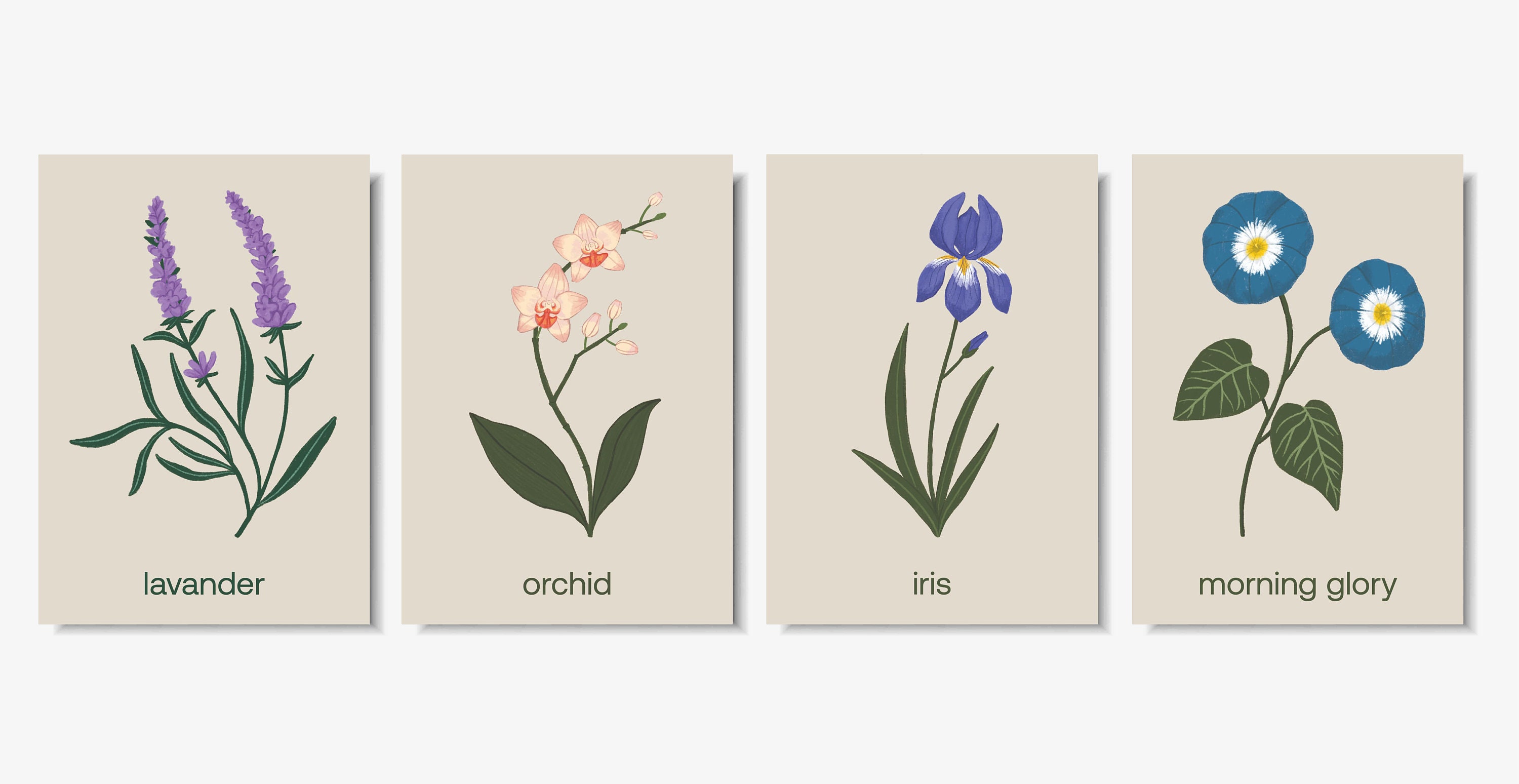 Flower Flash Cards Hand-illustrated, Montessori Digital Download ...