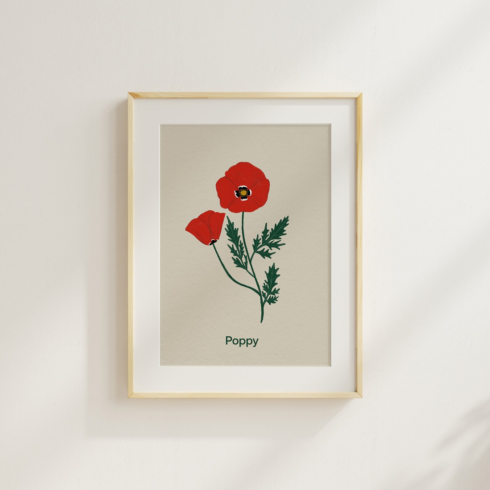 Hand-illustrated Poppy Print: Botanical Flower Illustration - Etsy