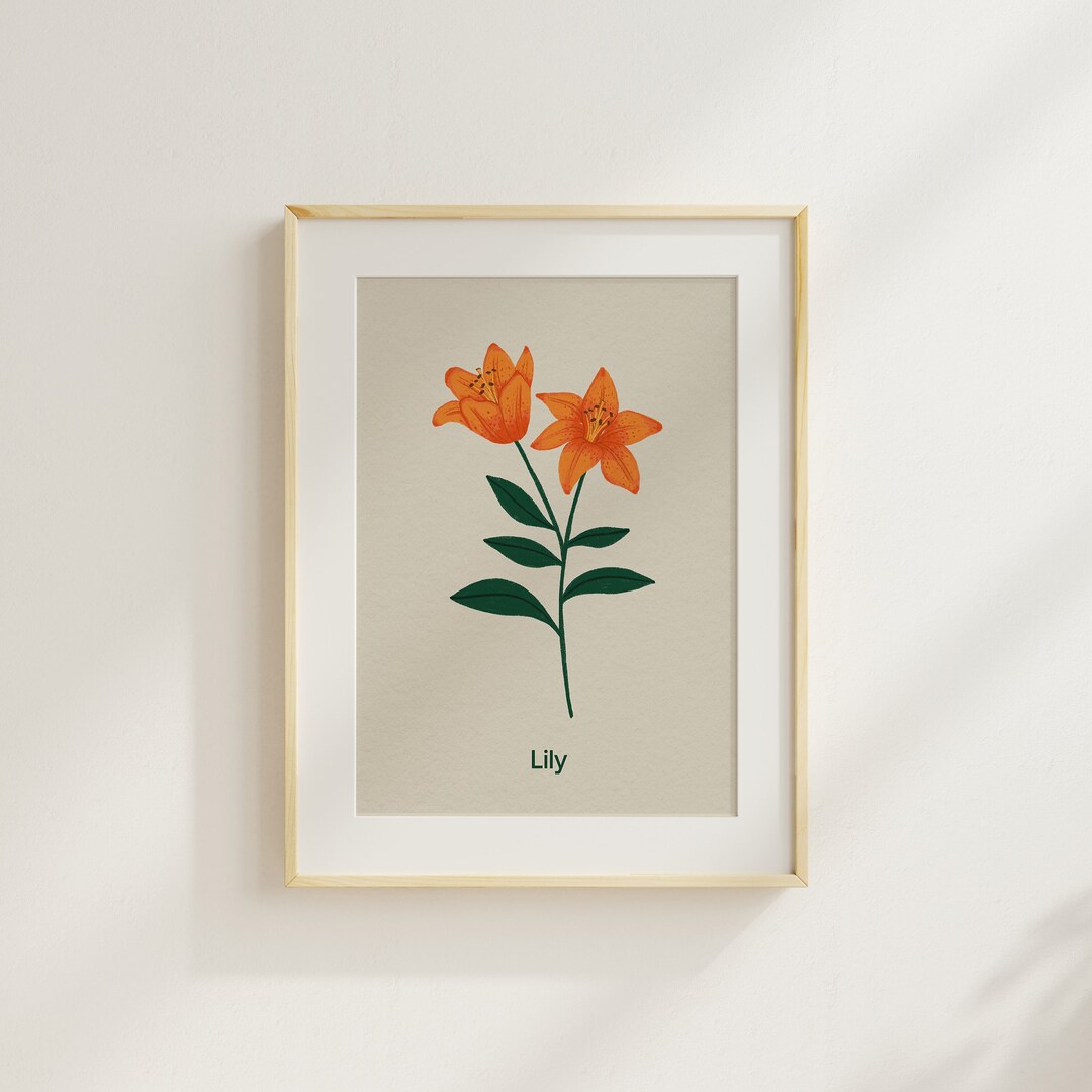 Lily Print - Hand-illustrated Flower Print, Botanical Illustration ...