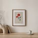 Hand-illustrated Poppy Print: Botanical Flower Illustration - Etsy