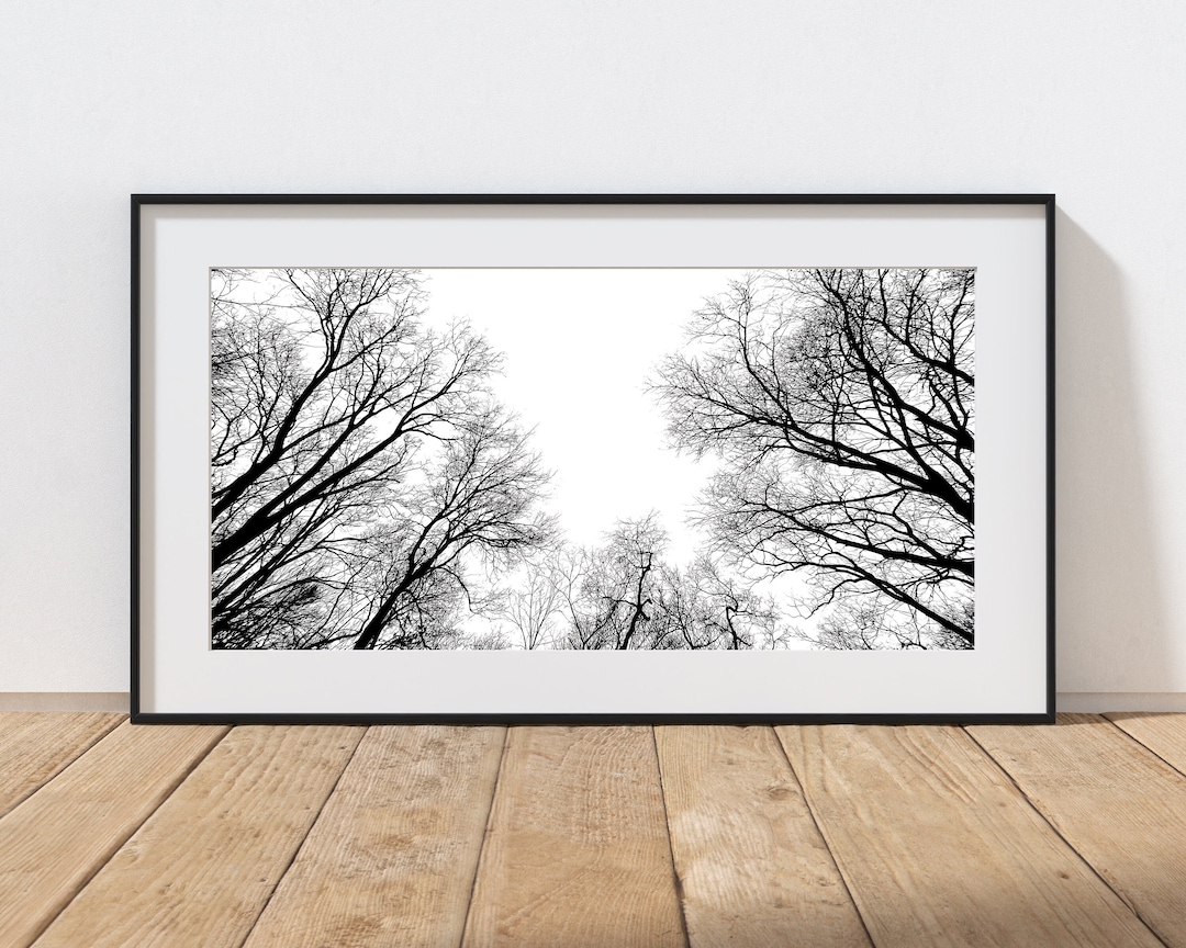 Black and White Winter Trees Wall Art Absract Modern Minimalst Room ...