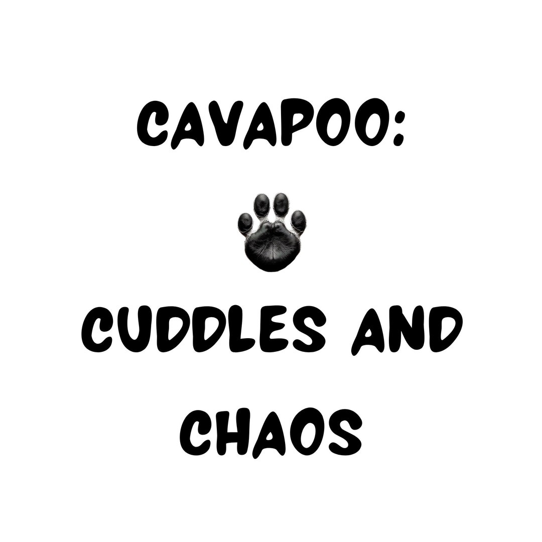 Cavapoo SVG Quotes, Funny Dog Sayings, Playful Cavapoo Phrases ...
