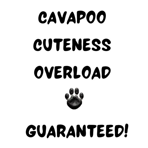 Whimsical Quotes - Etsy