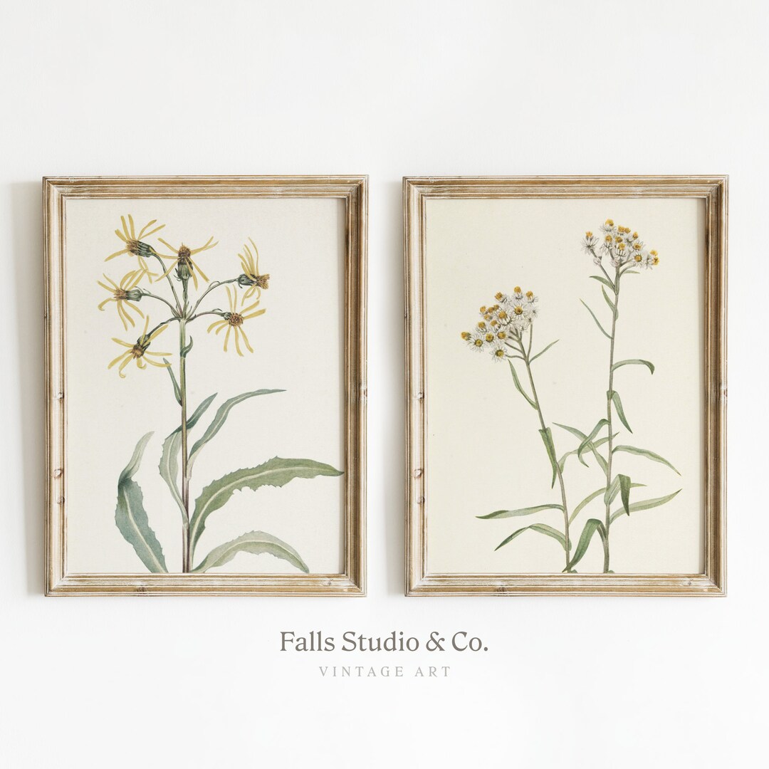 Set of Rustic Antique Botanical Floral Paintings Vintage Wall Art ...