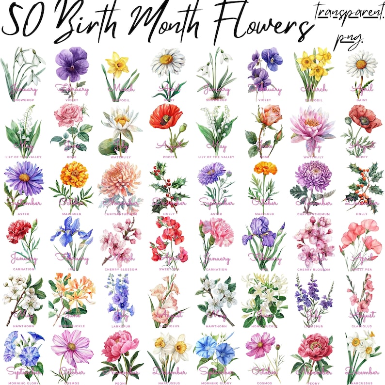 Birth Month Flowers Clipart: Watercolor Floral PNG Collection (digital ...