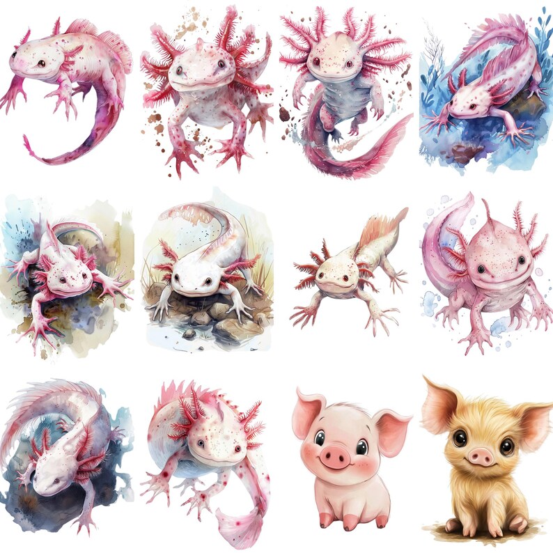 Watercolor Animal Clipart: 60+ PNG Images (digital Download) - Etsy