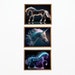 7 Files Elemental Horses and Celestial Unicorns Art Print Collection ...