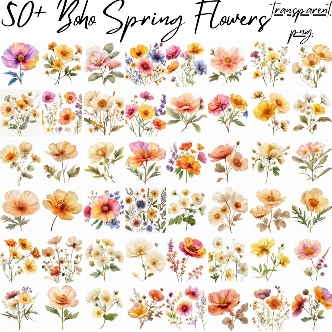 50+ Boho Wildflowers Clipart Bundle, Transparent & White Background ...