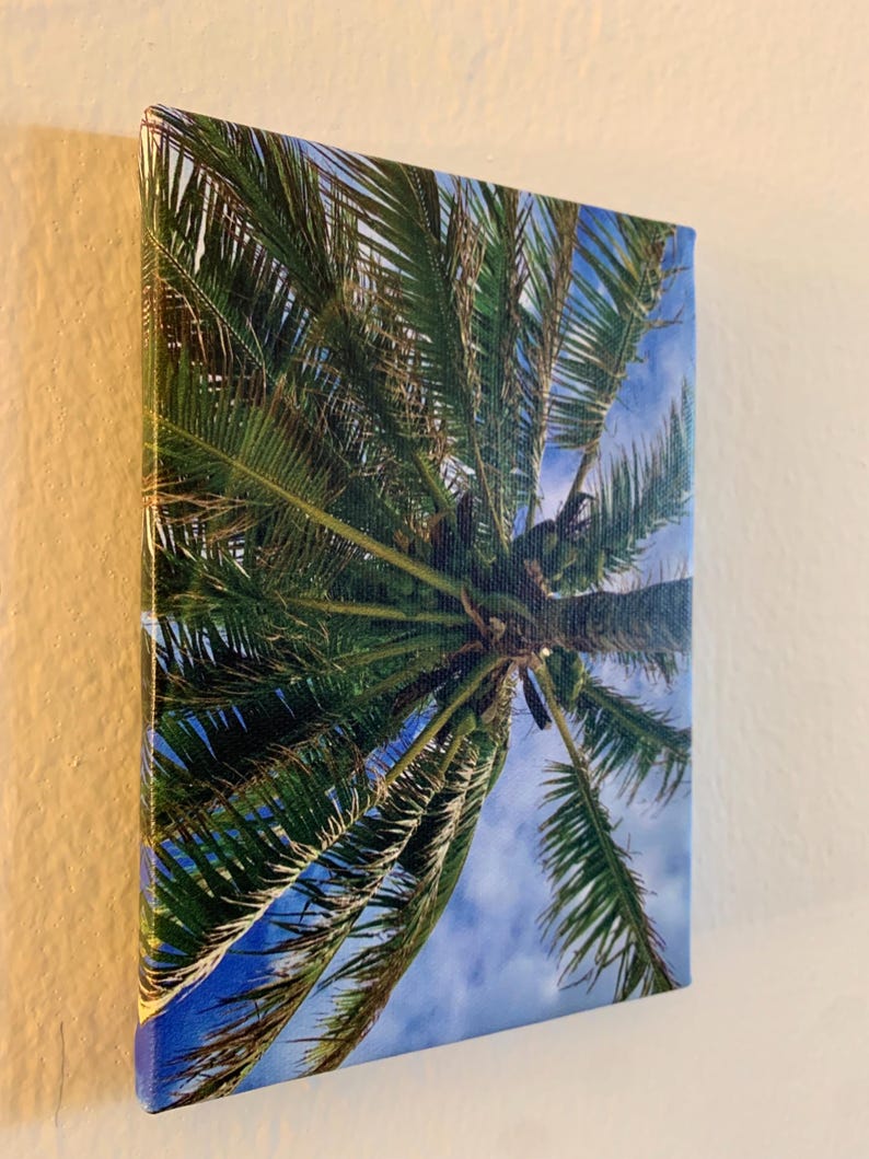 Tropical Hawaiian Palm Tree . 5 X 7 HD Canvas Print Wall Art Original ...