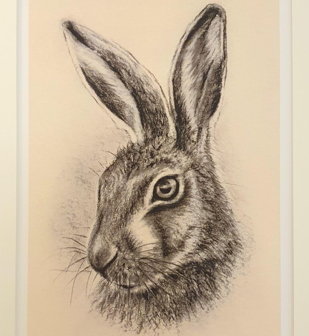 Hare Charcoal Art, Original Hare Drawing, Original Charcoal Hare Print ...
