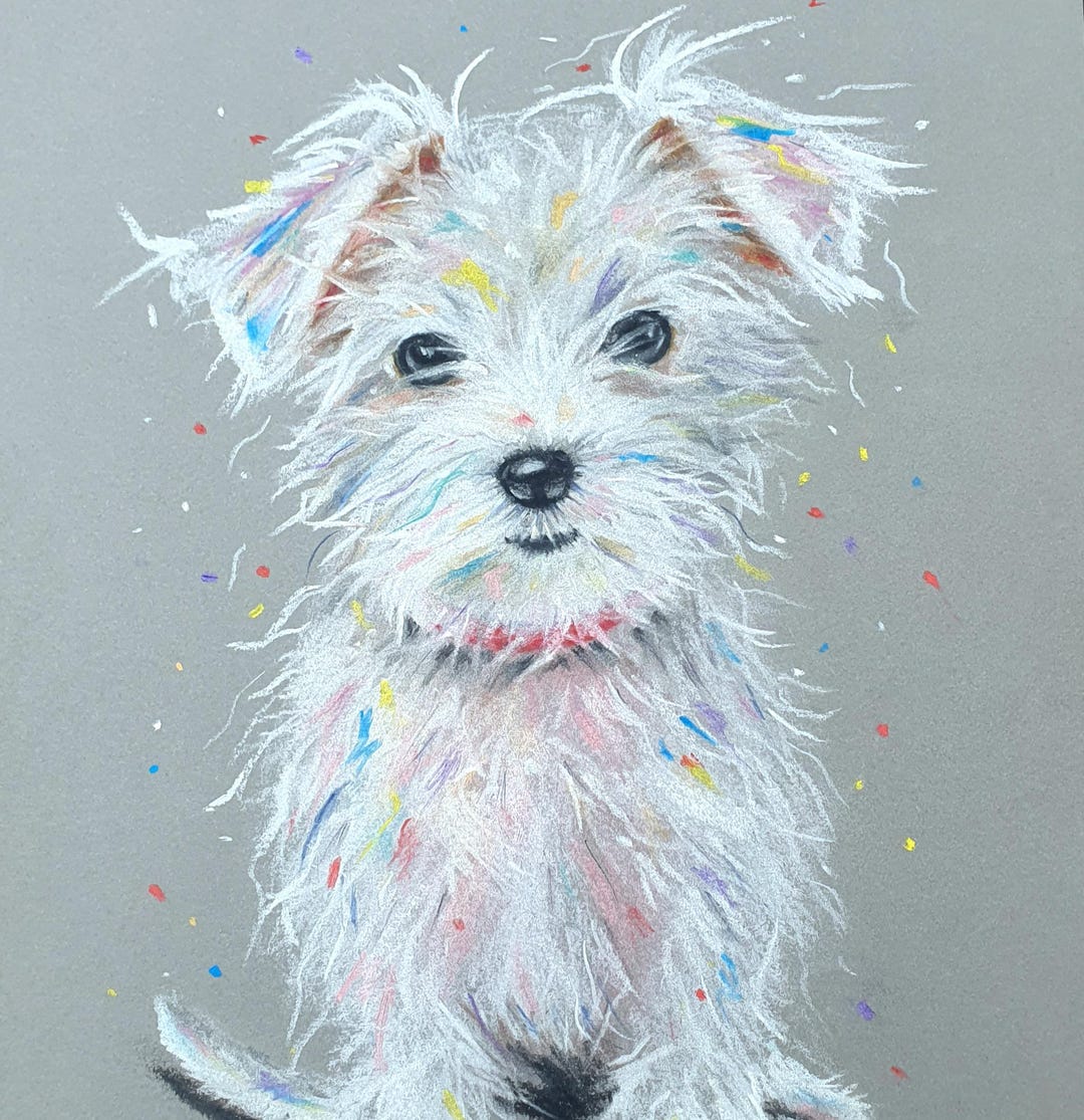 Maltese, Westie Dog Artwork, Original Pastel Painting, Drawing. - Etsy