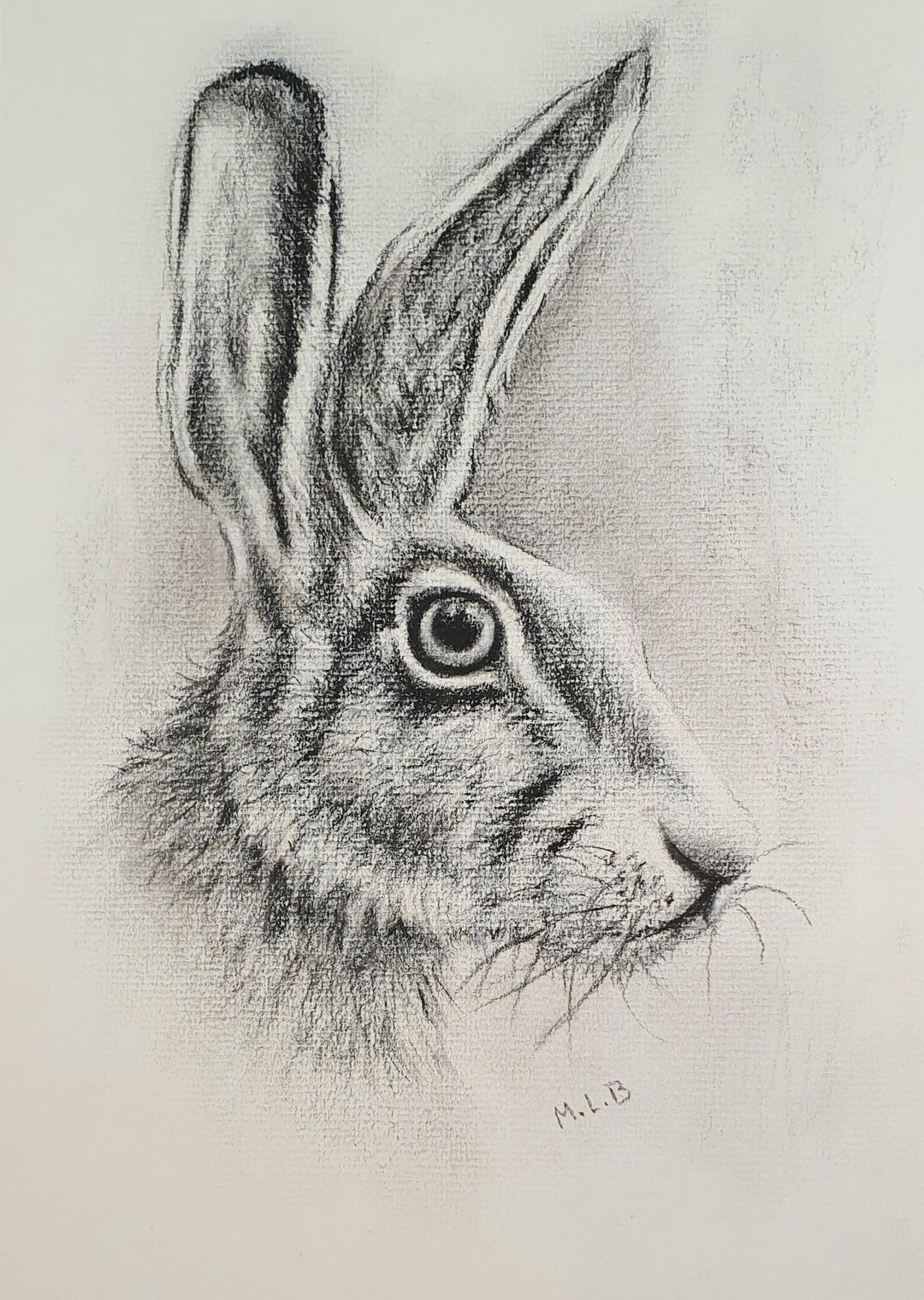 Original Hare Charcoal, Hare Drawing, Hare Painting, British Wildlife ...