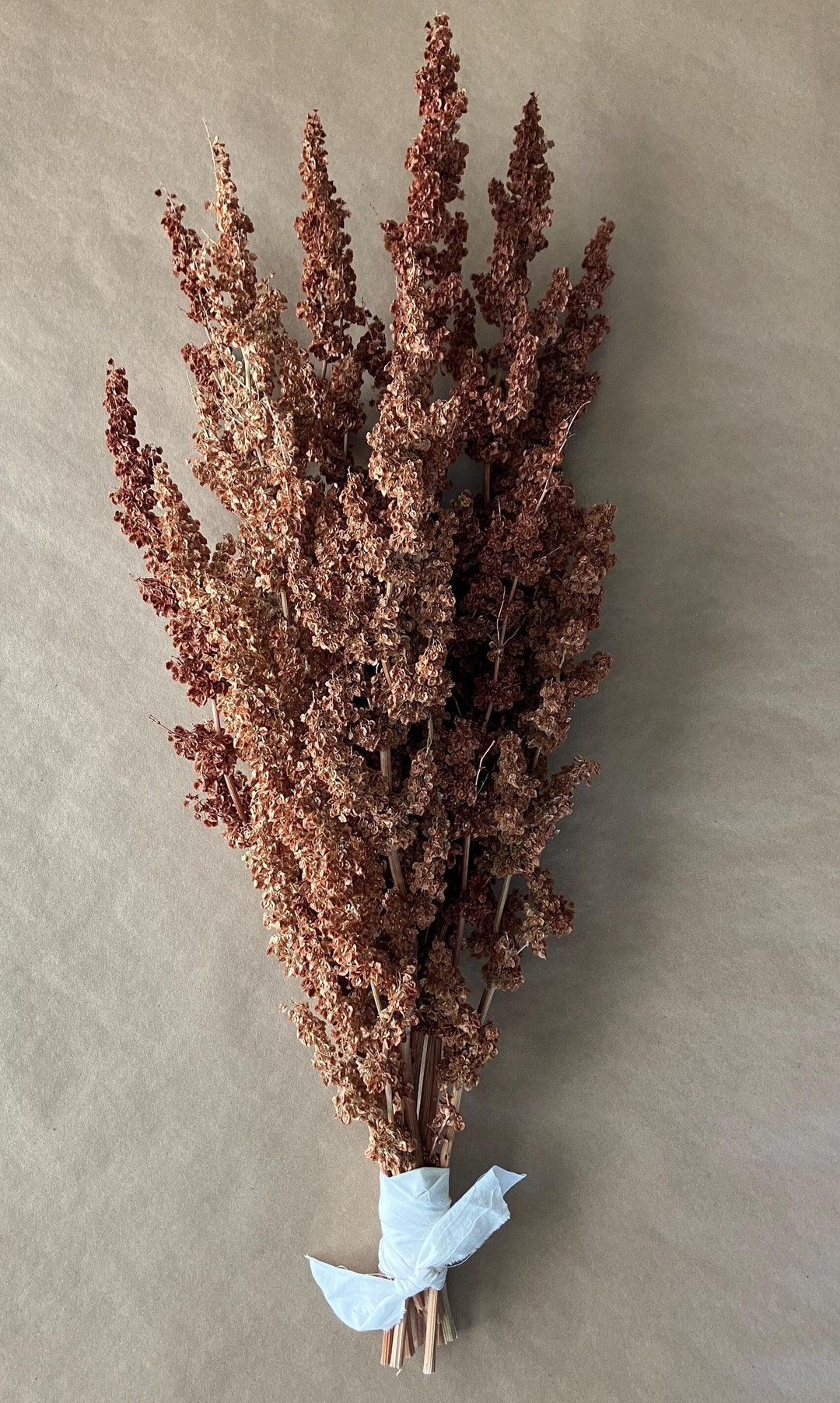 Wild Curly Dock Bundle, Foraged Curly Dock Seed Bundles, Dried Wild ...