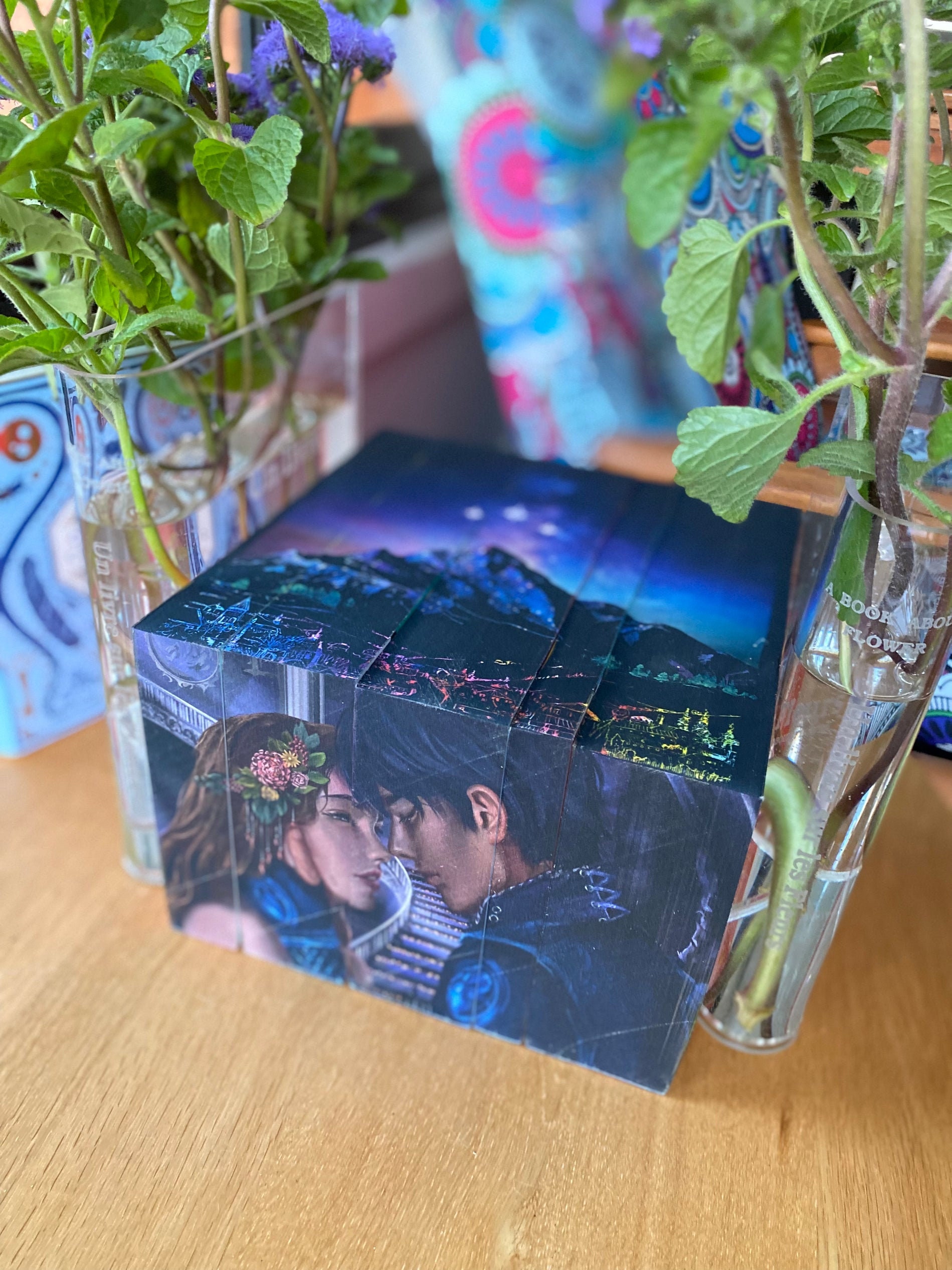 A Court of Thorns and Roses ACOTAR Box Set With Custom Spray - Etsy ...