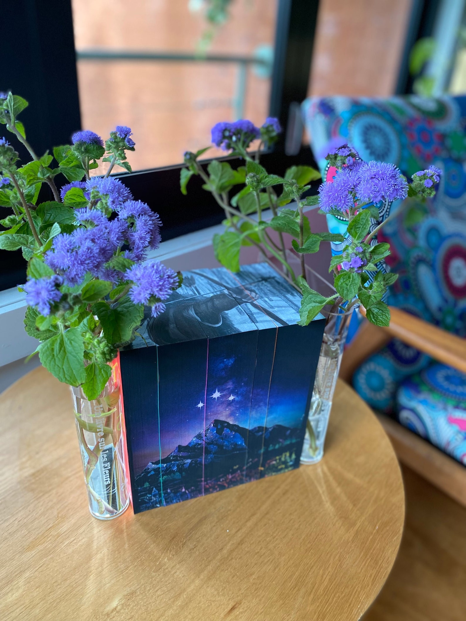 A Court of Thorns and Roses ACOTAR Box Set With Custom Spray - Etsy ...