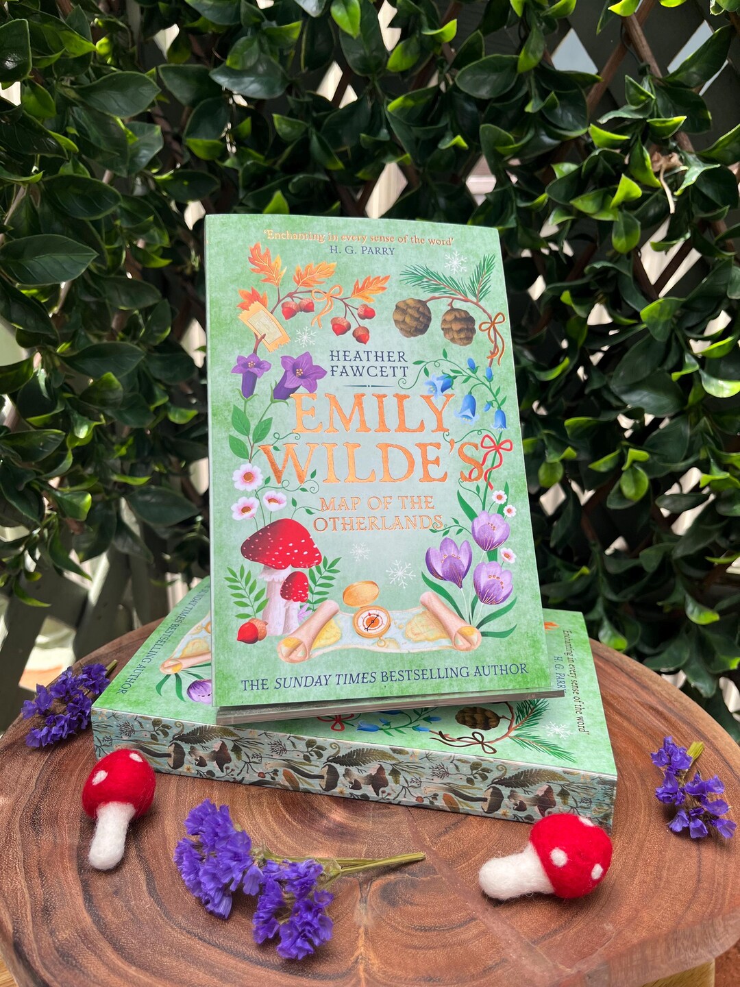 Emily Wilde’s Encyclopaedia of Fairies / Map of the Otherlands by ...