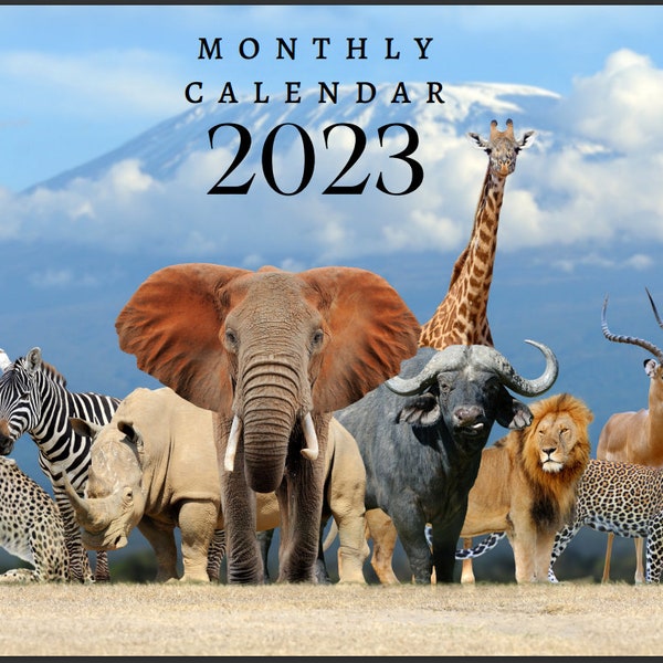 Safari Wall Calendar - Etsy