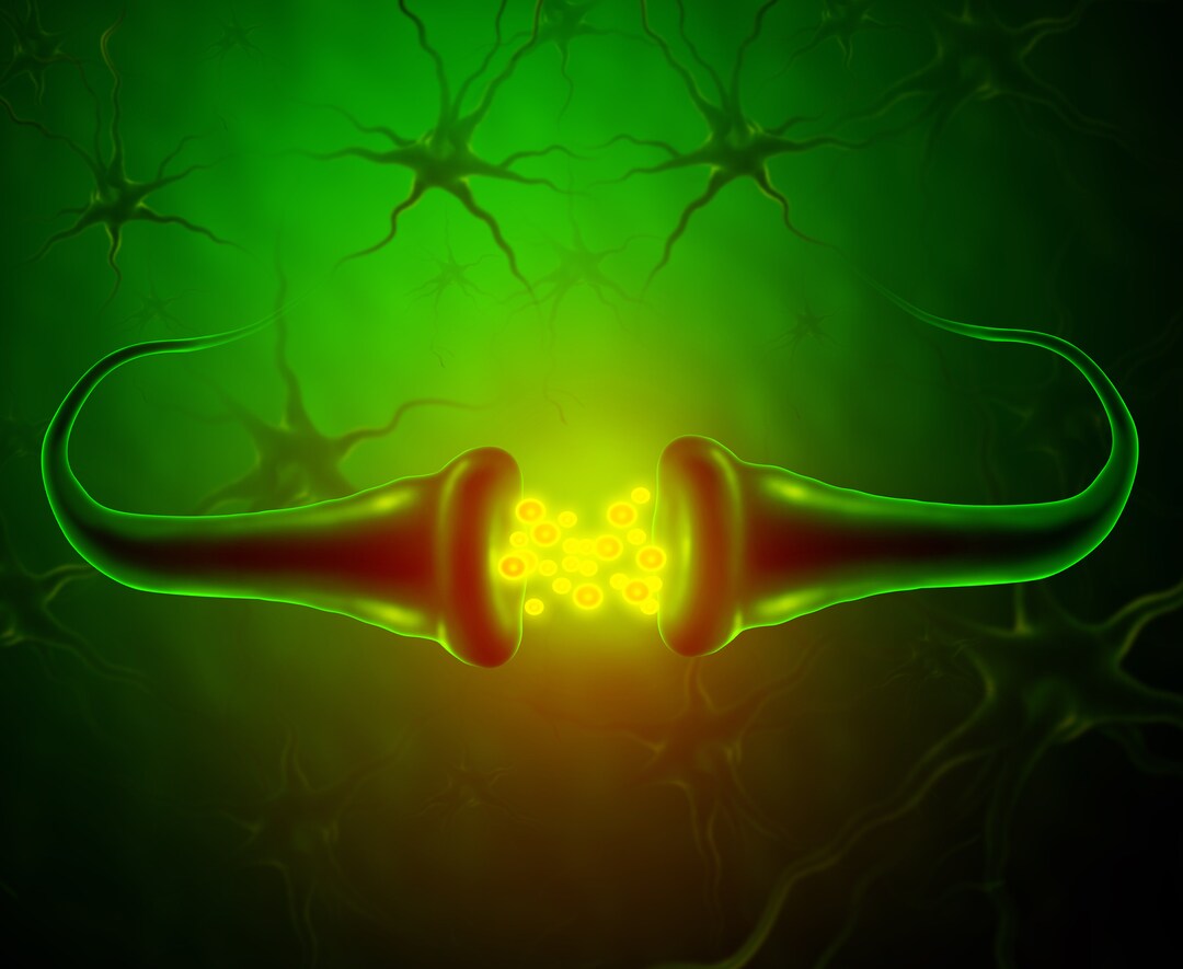 Human Body Receptor Cells Medical Art - Etsy