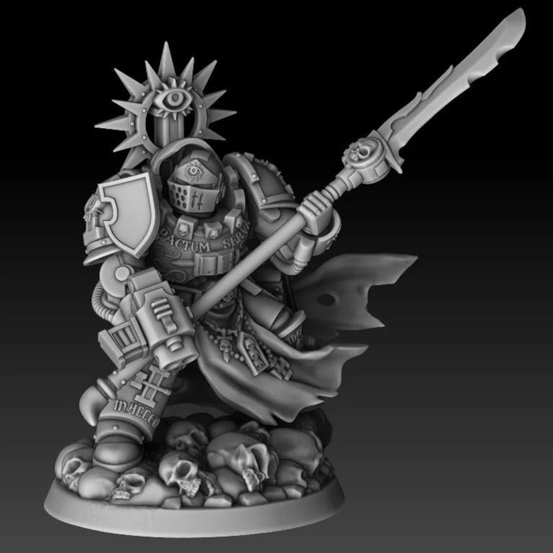 Silver Wardens Captain of the Brothers Grey Knights Proxy - Etsy
