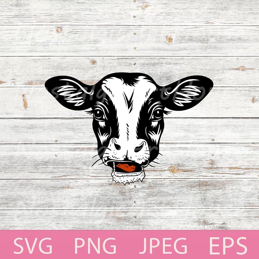 Heifer Svg, Cow Svg, Highland Cow Svg, Western Mooey, Retro Cow ...