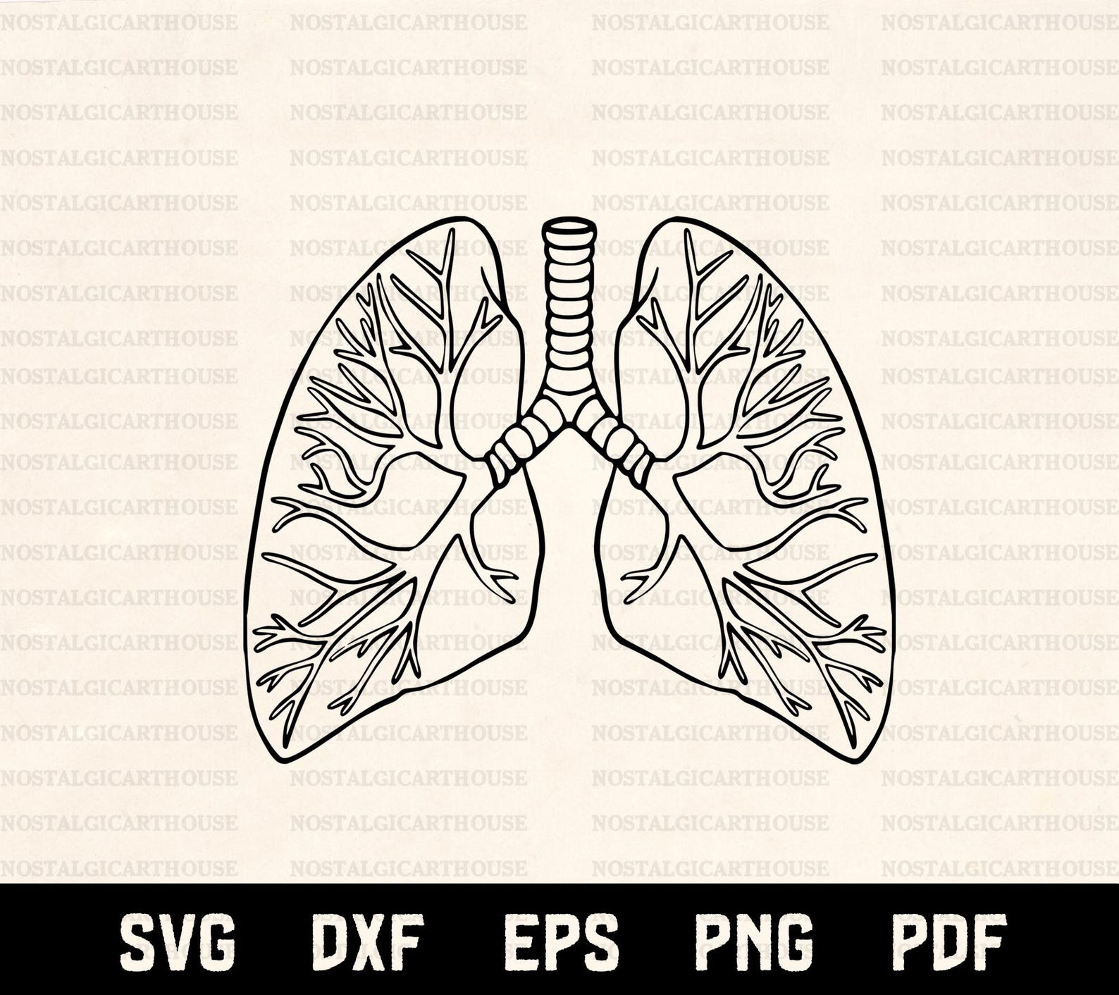 Lung Isolated Svg Png, Human Lungs Anatomy Illustration Cricut Cut ...