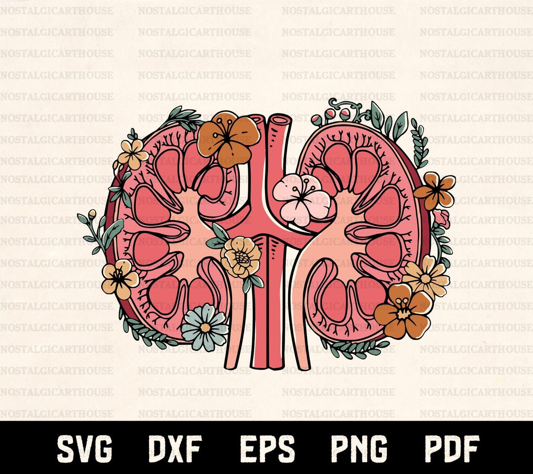 Floral Kidneys Svg Png, Flower Kidney Anatomy Cricut Cut Files, Healing ...
