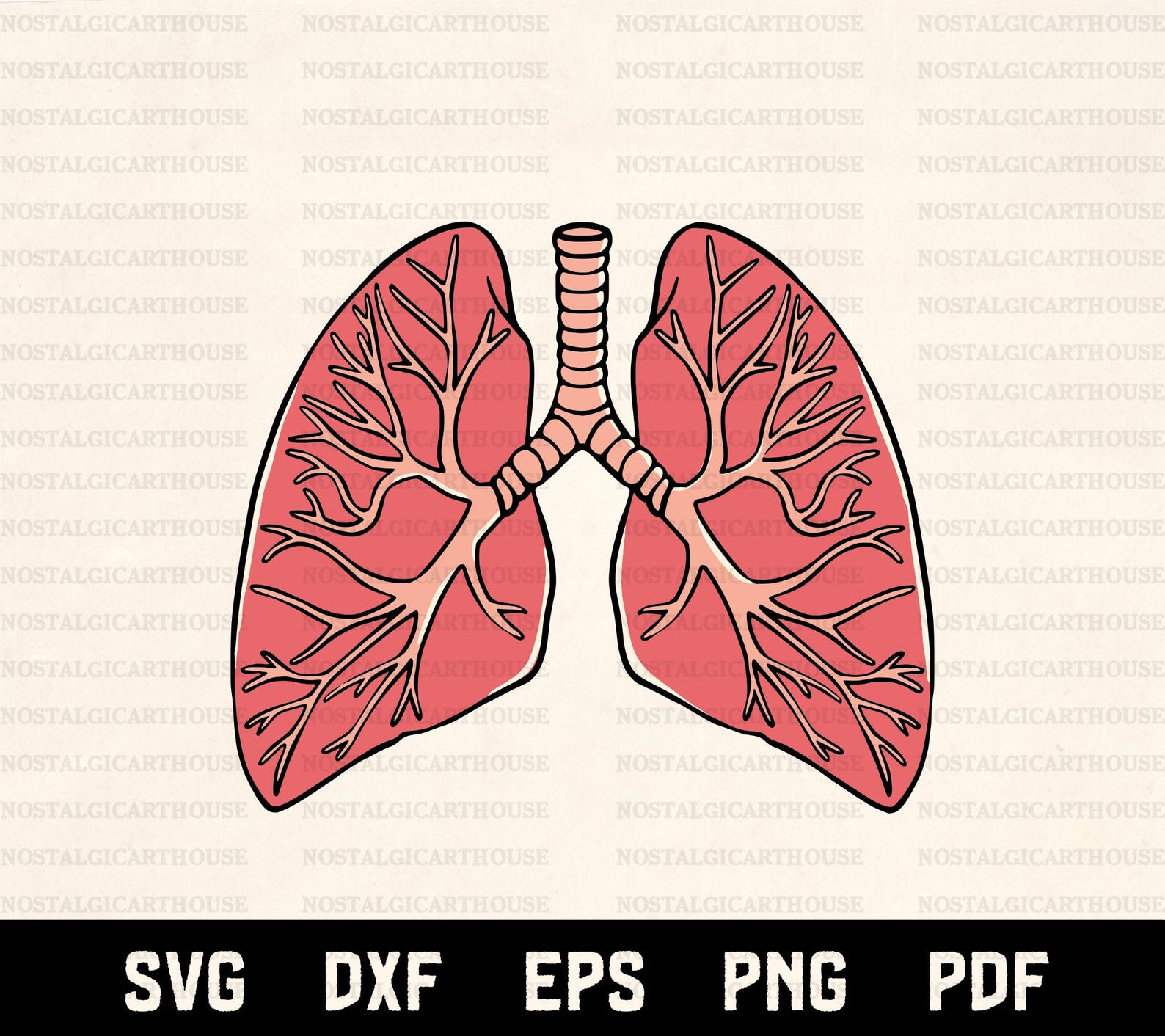 Lung Isolated Svg Png, Human Lungs Anatomy Illustration Cricut Cut ...