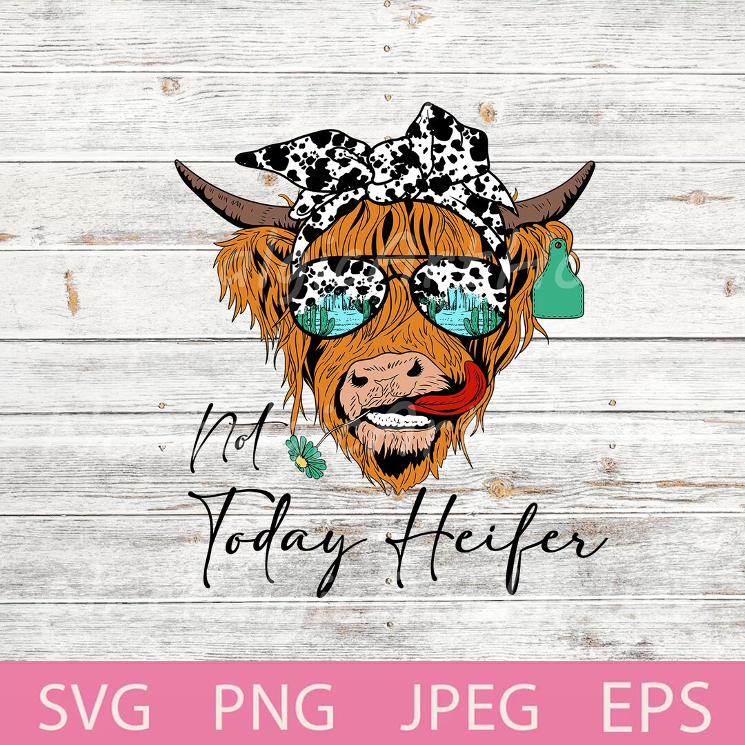 Not Today Heifer Svg, Long Haired Cow, Funny Cow Sayings Svg, Highland ...