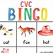 CVC Words Bingo, CVC Bingo, Printable Bingo Cards, Bingo Game Download ...