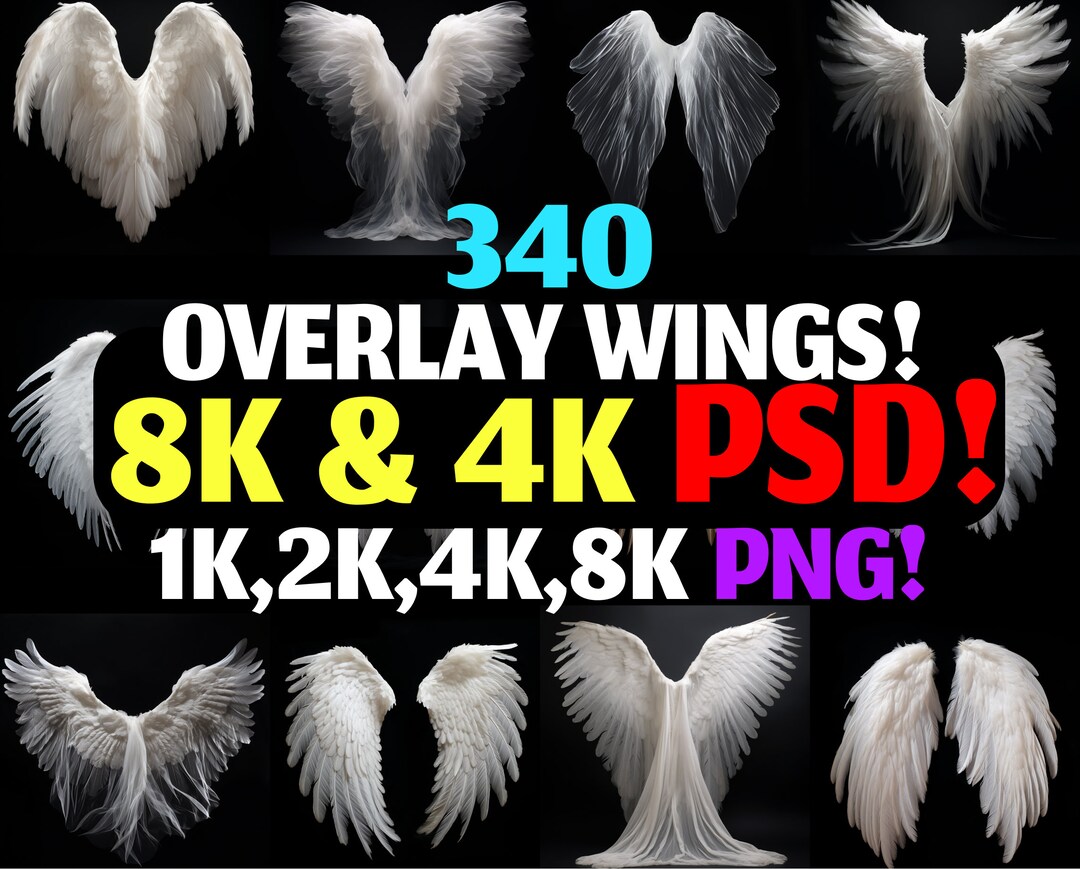 White Angel Wings Digital Overlays PSD & PNG, Maternity Backdrop ...