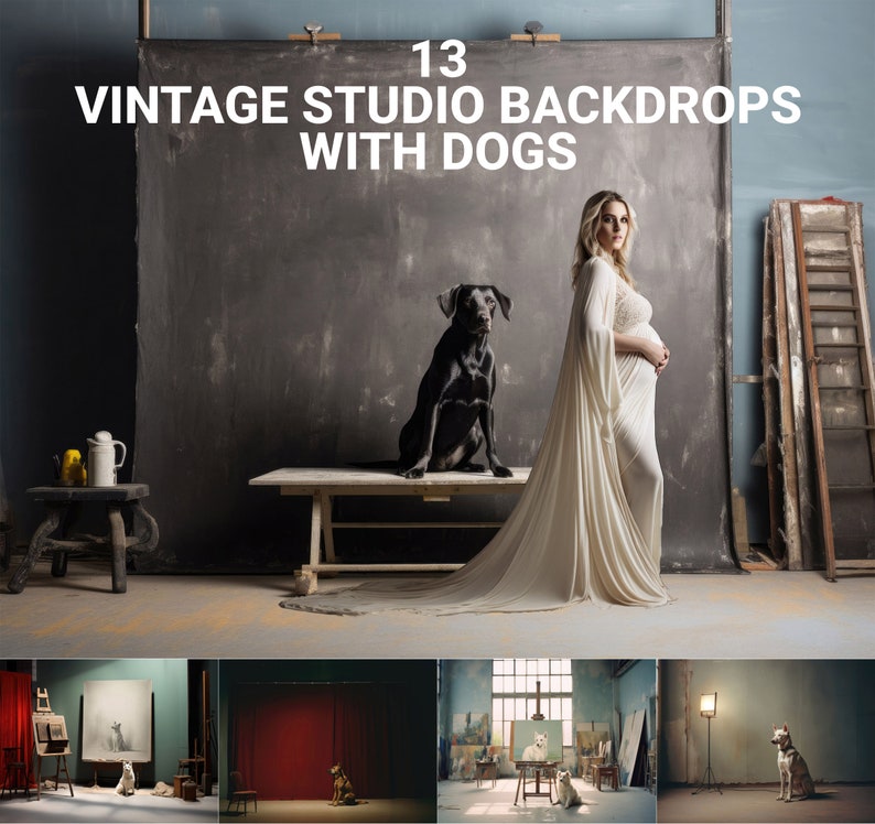 13 Vintage Studio Backdrops With Dogs Photography Background, Portrait ...