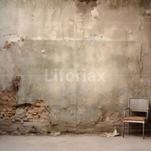 14 Old Master Photography Studio Background, Vertical Portrait ...