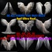 368 Angel Wings Overlays PSD & PNG 8K, Maternity Backdrop Overlays ...