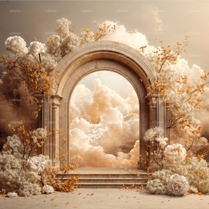 Heaven Arches Texture Set Digital Backdrops Floral Maternity Backdrop ...