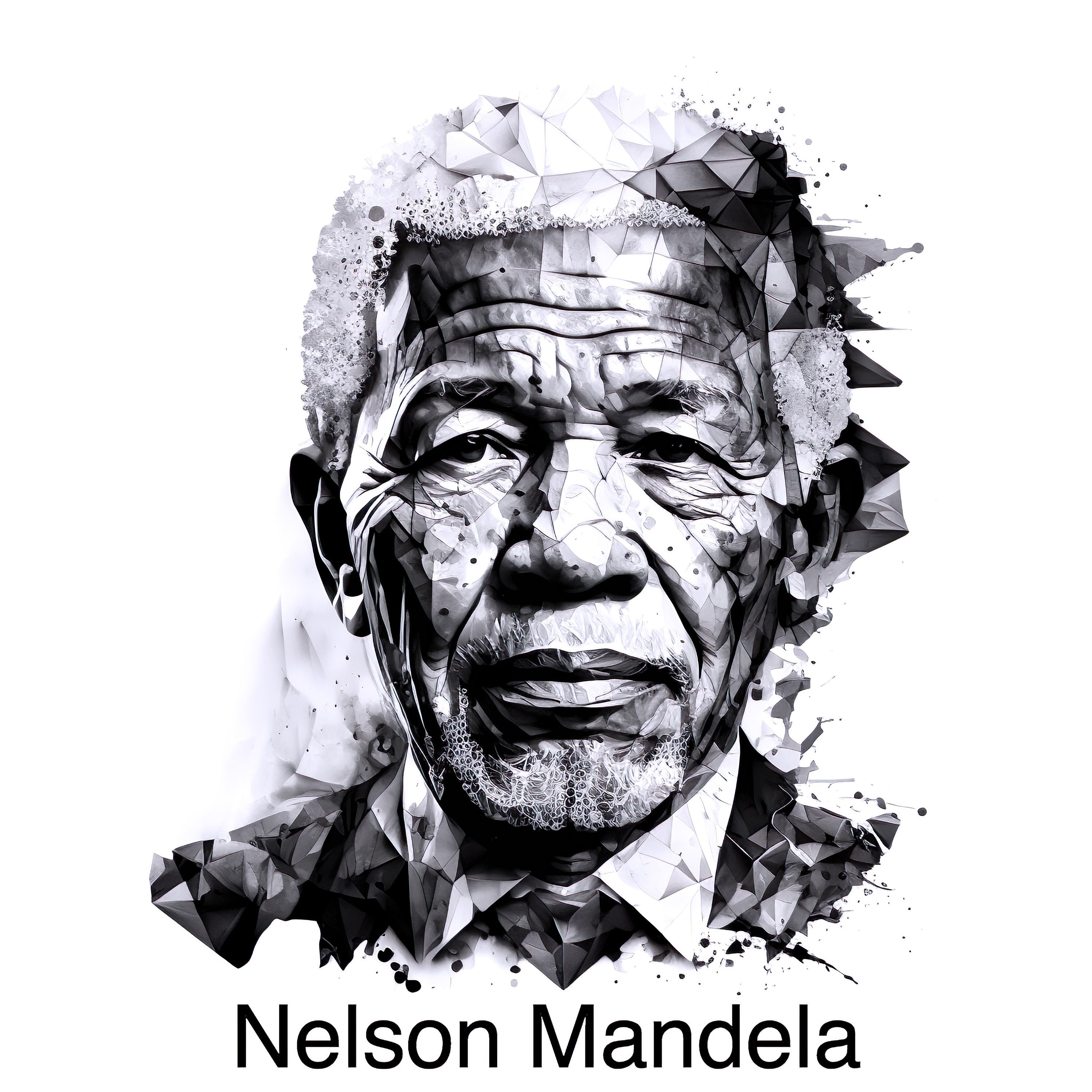 Nelson Mandela Portrait - Etsy