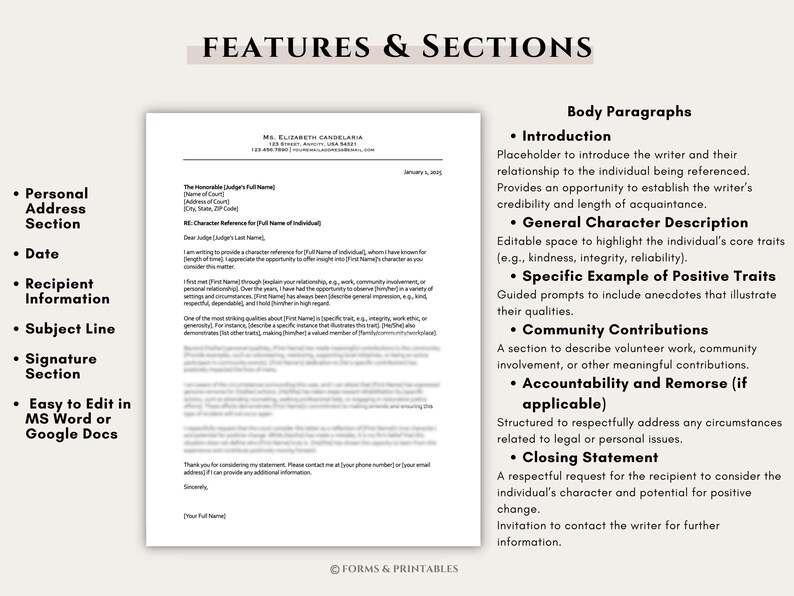 Editable Court Character Reference Letter Template (MS Word, Google ...